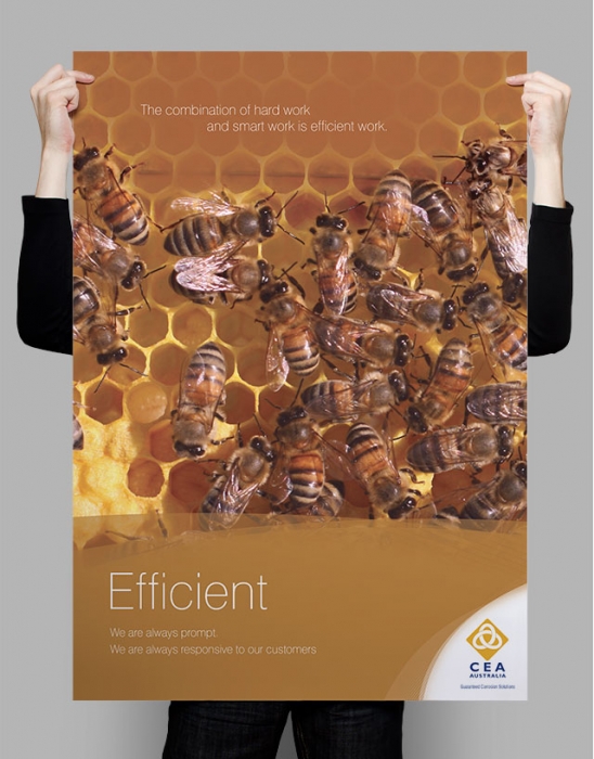 CEA Australia Brand Values Posters | Brown Ink Design Geelong